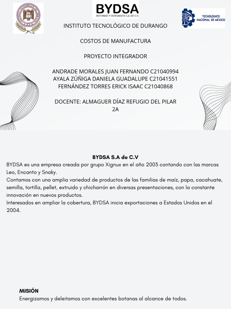 Costos y Productos de BYDSA S.A. de C.V. | PDF | Presupuesto | Software