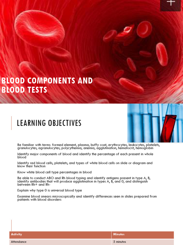 Blood Components and Testing Overview | PDF | White Blood Cell | Blood