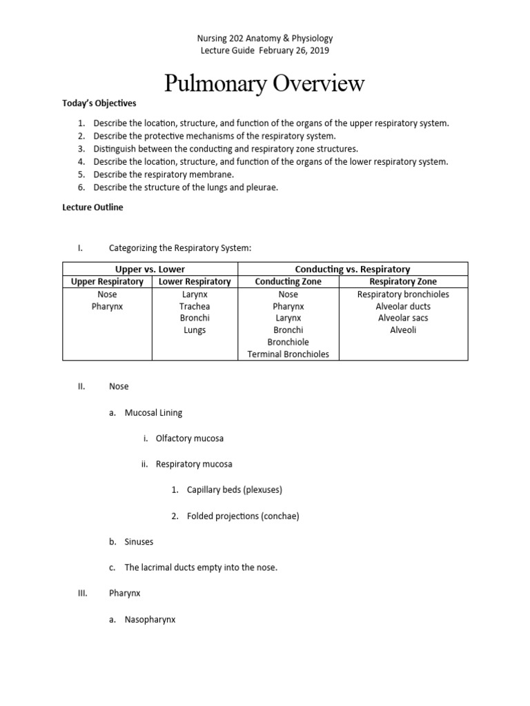 Pulmonary Overview 190222 Student | Download Free PDF | Respiratory ...