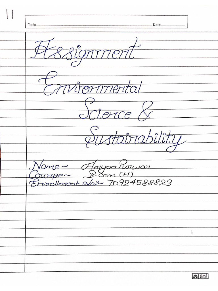 Ess Assignment | PDF