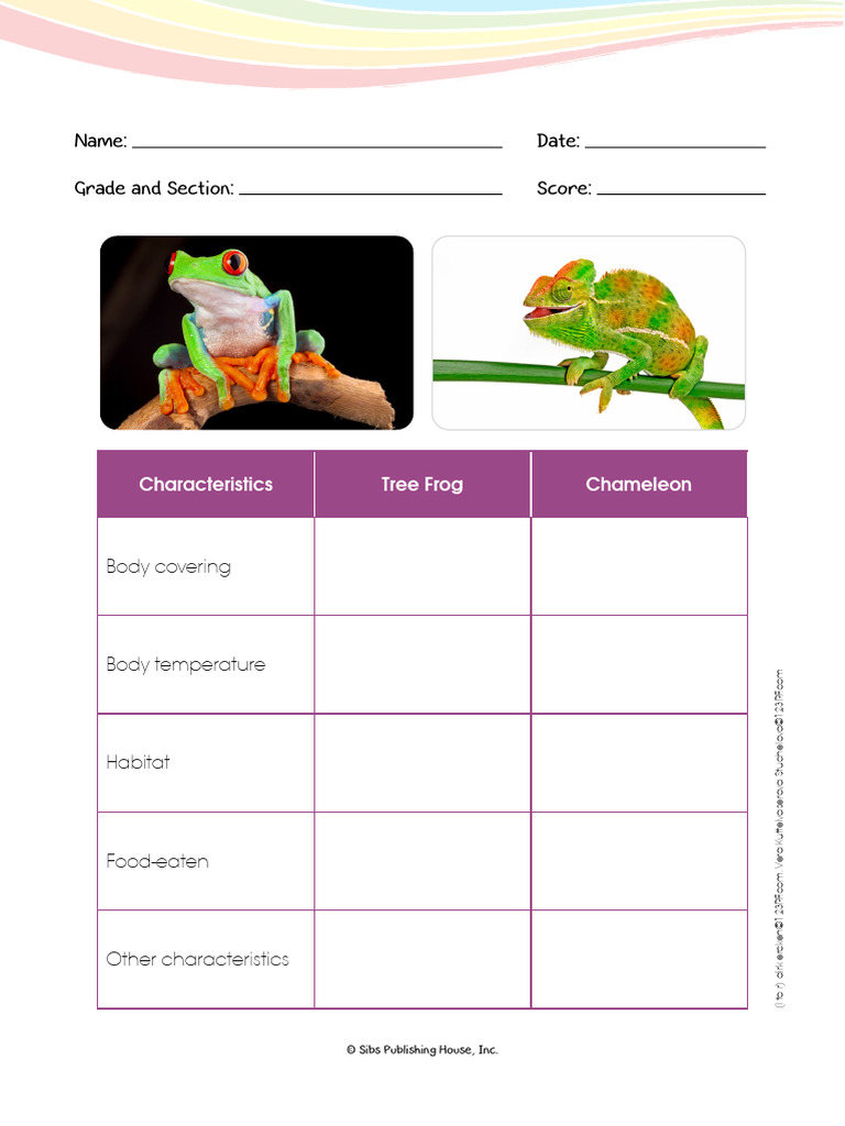 Amphibian-Reptile Worksheet | PDF