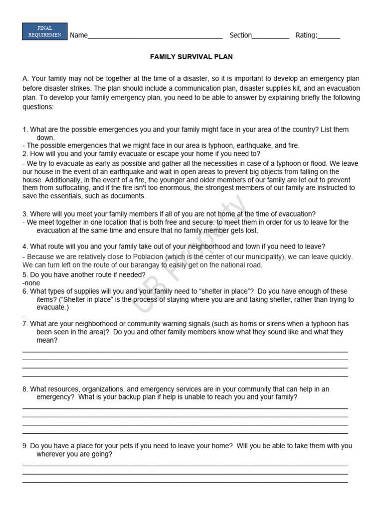 Family Survival Plan | PDF | Emergency Management | Emergency Evacuation