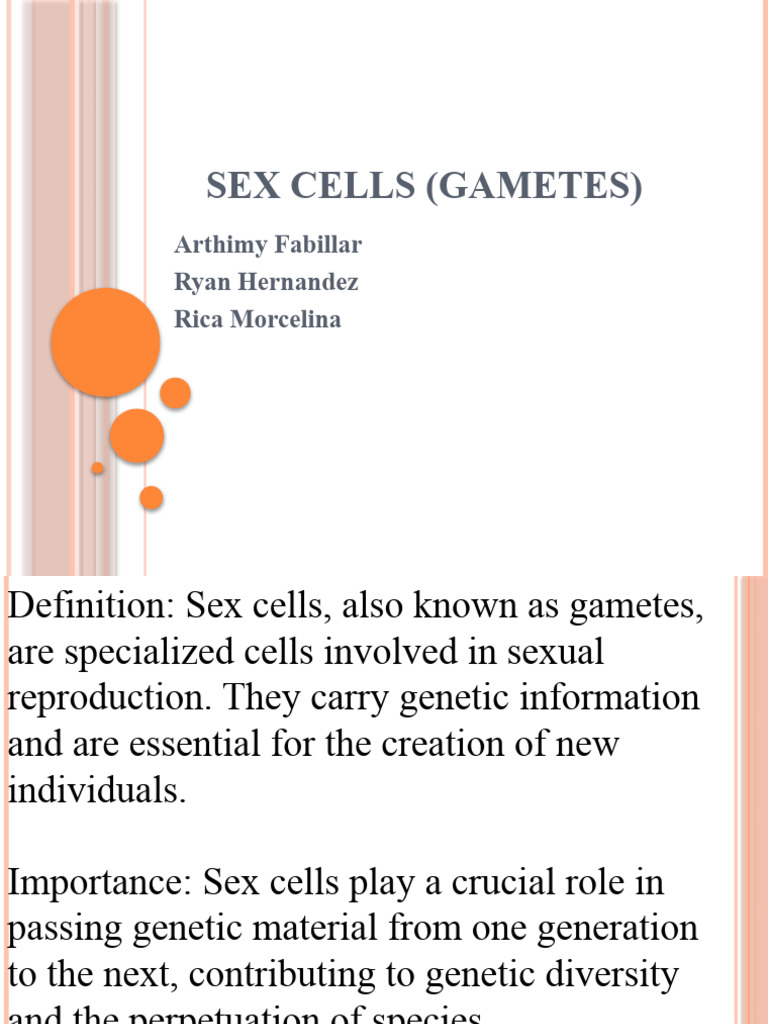 Sex Cells Gametes Art Pdf Fertilisation Sex