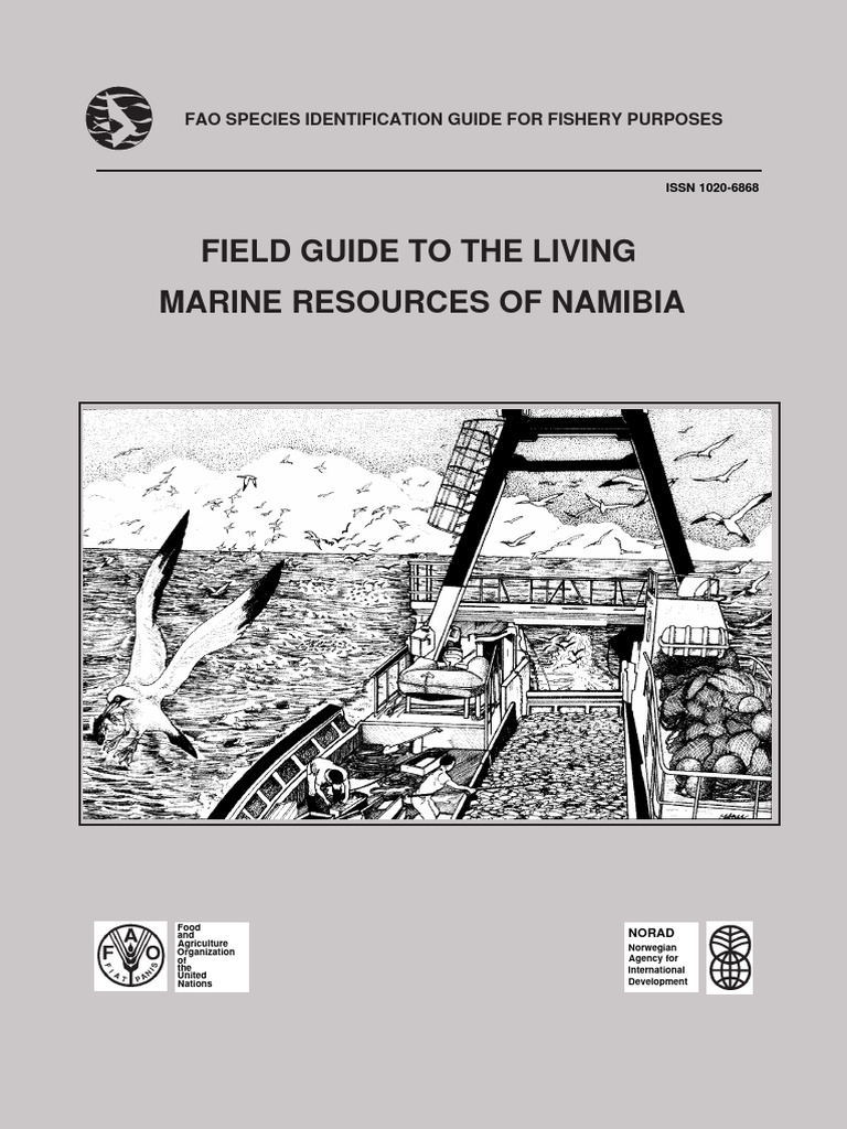 Field Guide To The Living Marine Resources of Namibia | PDF | Fish