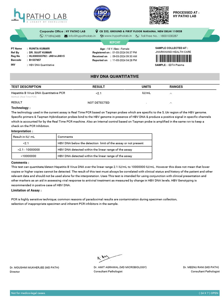 HBV DNA Quantitative PCR Test | PDF | Hepatitis B | Biotechnology