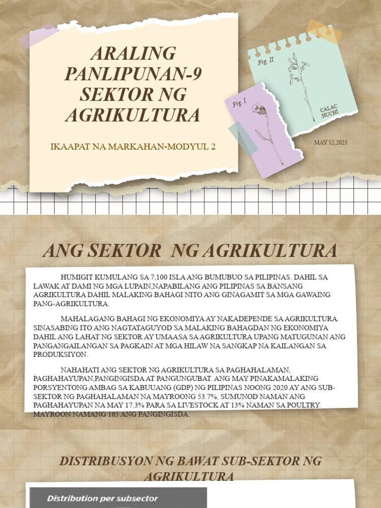 Sektor Ng Agrikultura | PDF