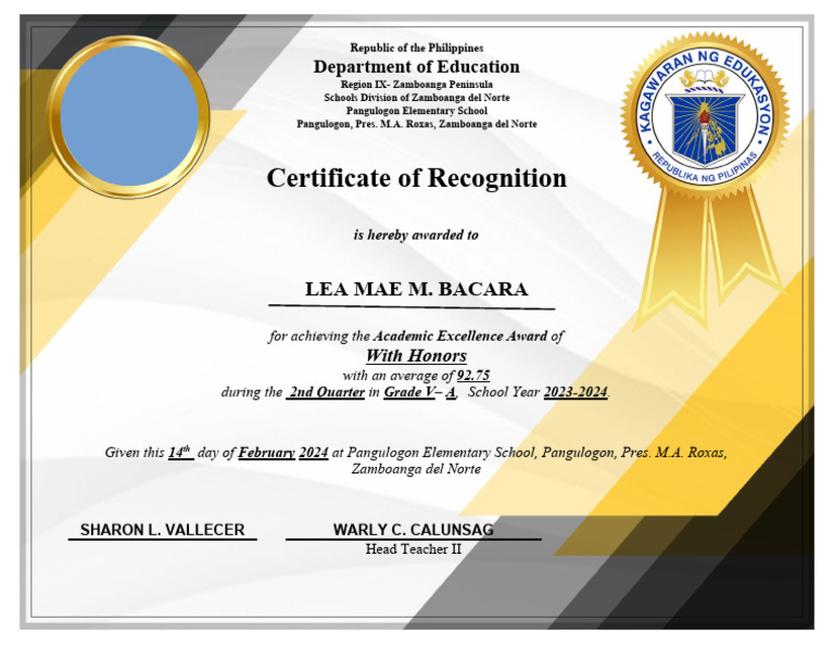 Academic Excellence Award Certificate | PDF