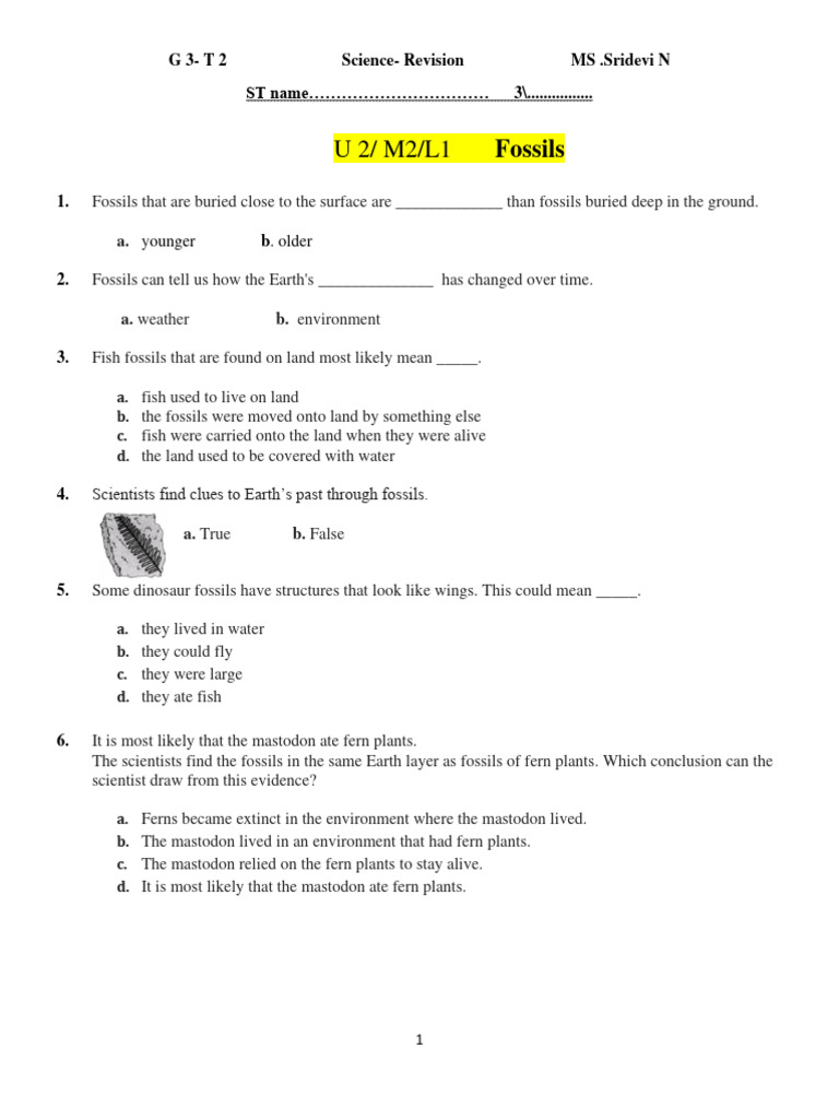 U 2/ M2/L1 Fossils: Ounger B. Older | PDF | Natural Hazards | Thunderstorm