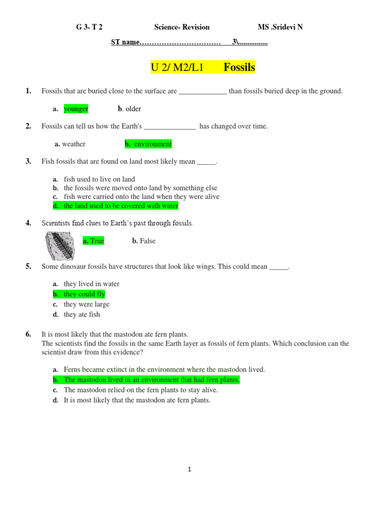 Document 19 Answer Key | PDF | Natural Hazards | Thunderstorm