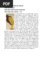 Actualizacion de Protocolos de La Cap | PDF