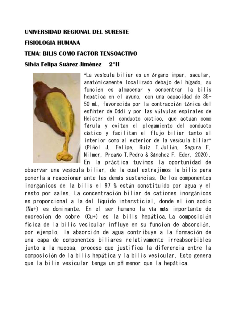BILIS COMO FACTOR TENSOACTIVO | PDF | Bilis | Vesícula biliar