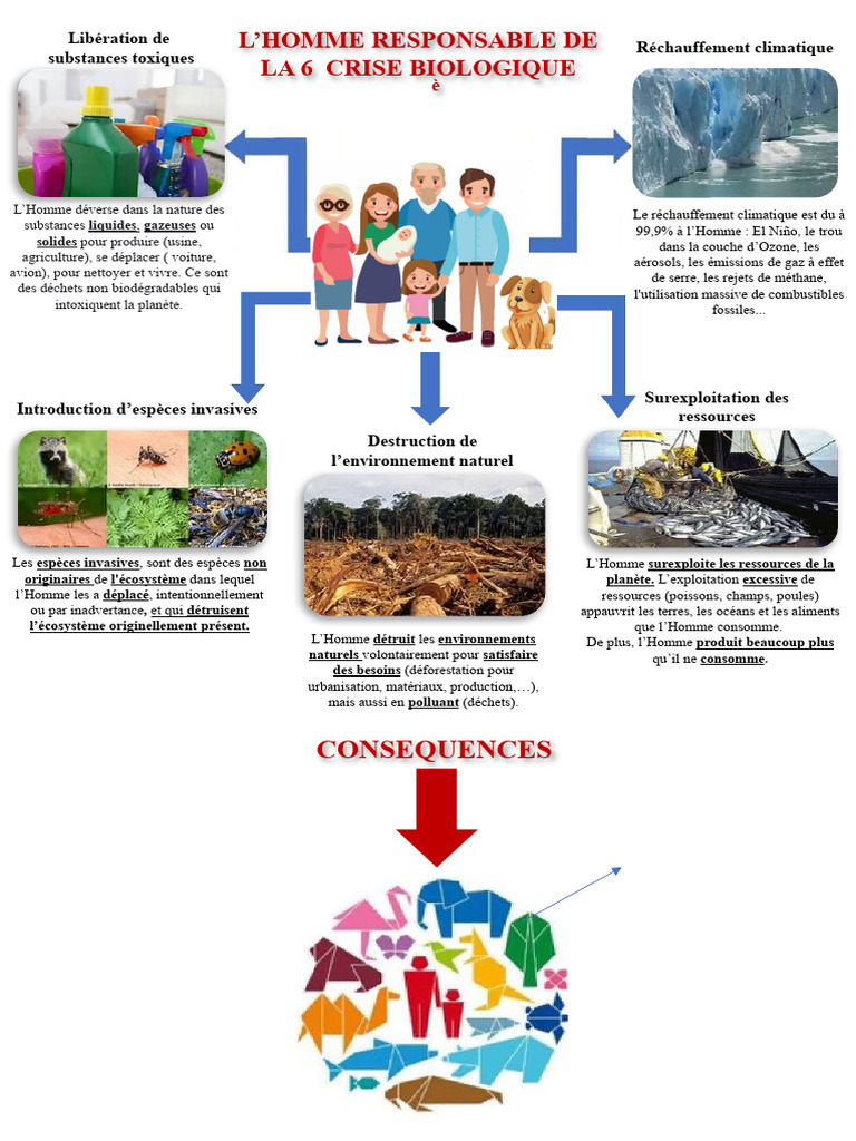 Affiche L'Homme Responsable de La 6e Crise Biologique Maxence Hervé 3e ...