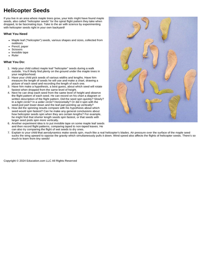 Helicopter-seeds Aktivitet | PDF