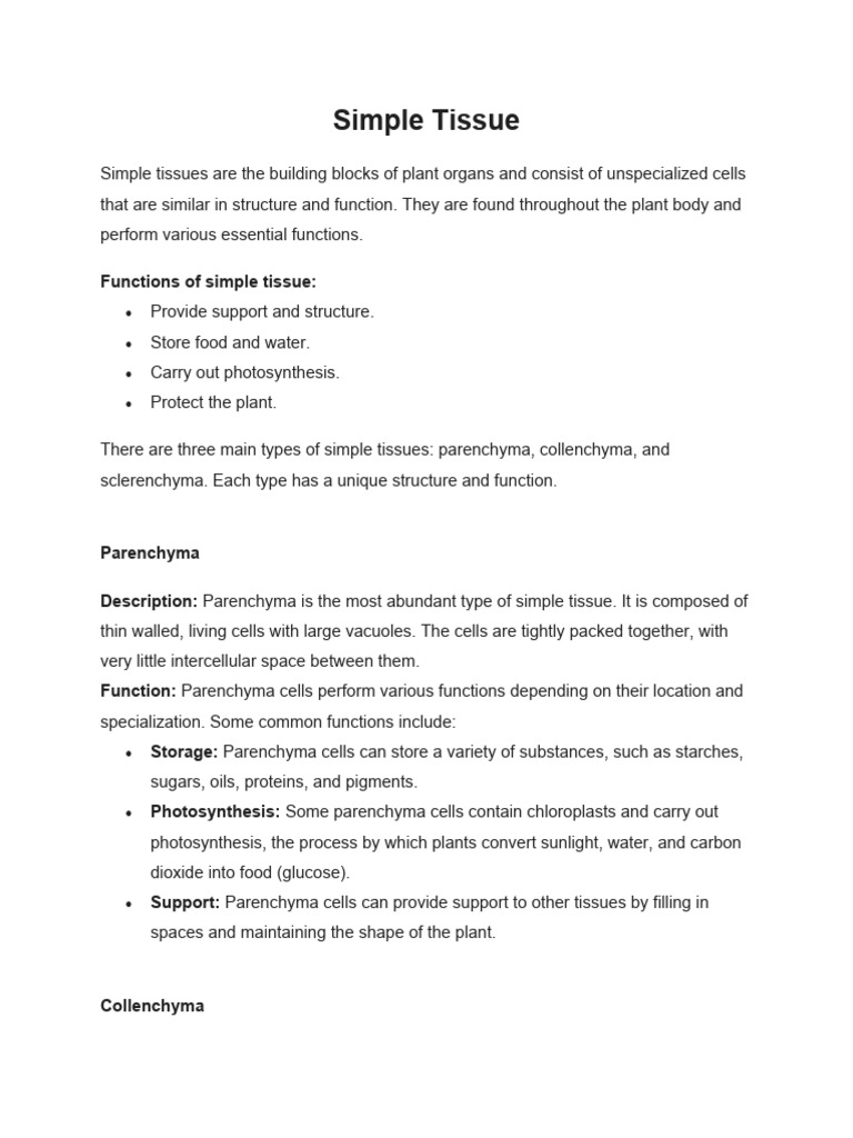 Simple Tissue and Complex Tissue | PDF | Tissue (Biology) | Biology