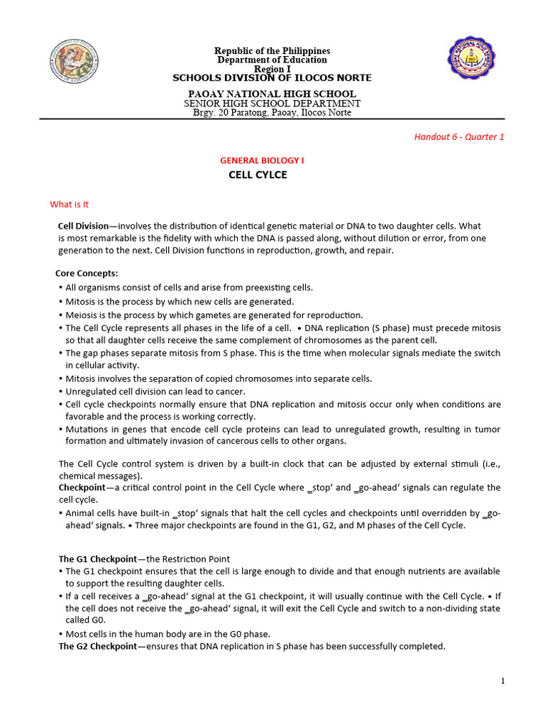 Gen Bio 1 Handout 6 | PDF | Cell Cycle | Mitosis