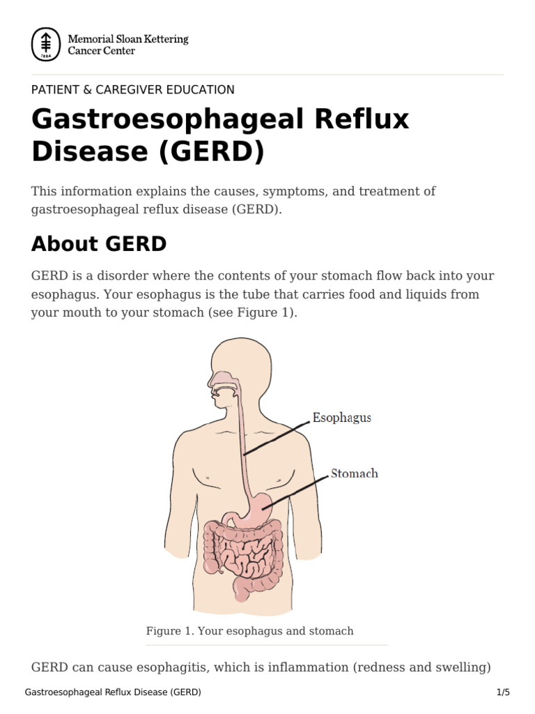 Gastroesophageal Reflux Disease Gerd | PDF | Gastroesophageal Reflux ...