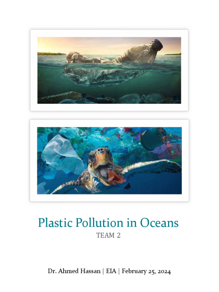 plastic impact on marine life | PDF | Pollution | Waste