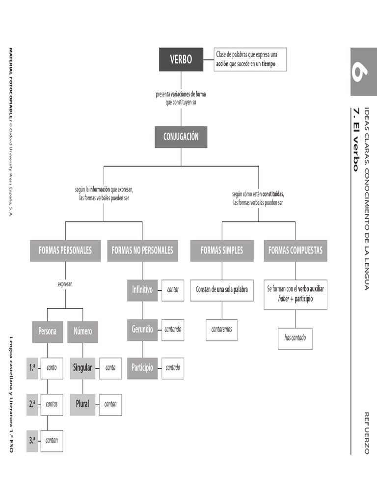 1º ESO. Esquema. Verbos. Bases de Conjugación. Oxford | PDF | Verbo | Relaciones sintácticas