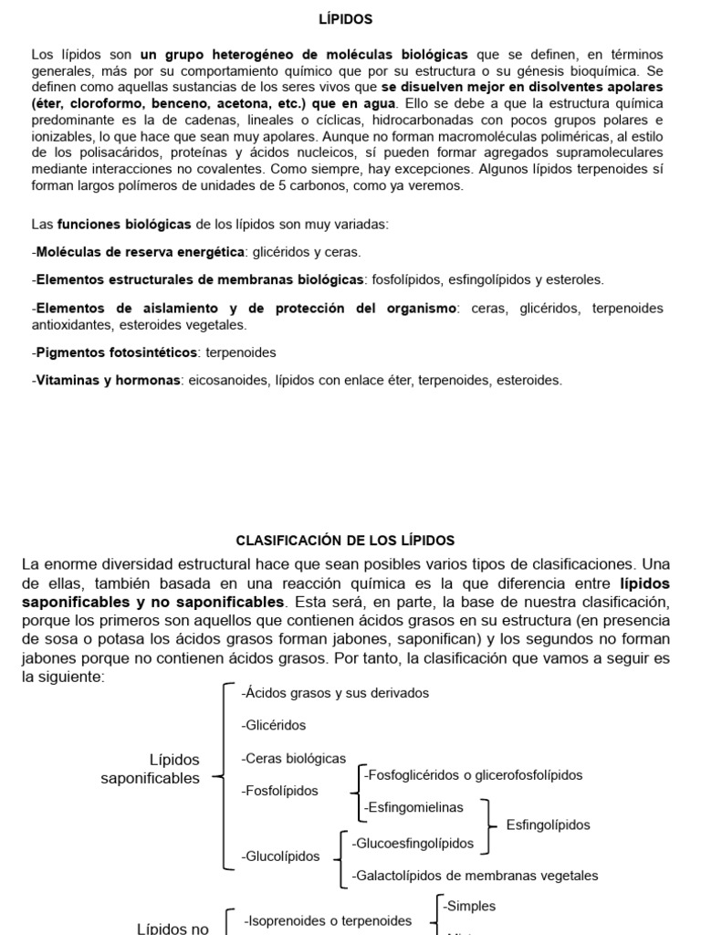 Tema 3. LÃ - Pidos. CaracterÃ - Sticas Generales y Funciã N Biolã Gica (2024) | PDF | Lípido ...