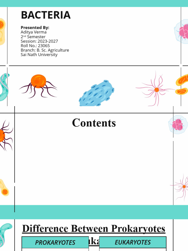Bacteria | PDF | Bacteria | Mercury (Planet)