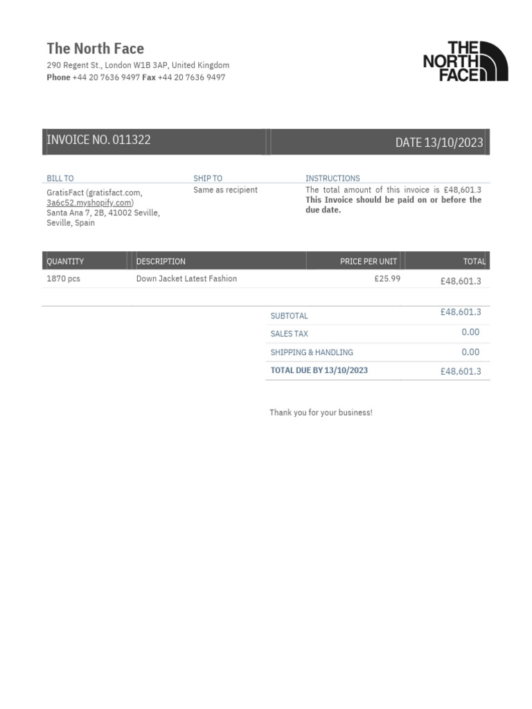 North Face Invoice Summary | PDF