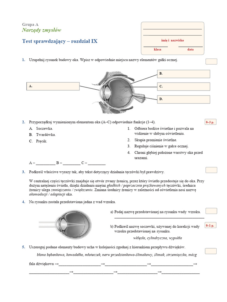 Test Po Dziale 9 Narzady Zmyslow | PDF