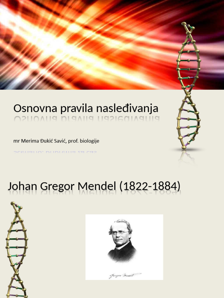 Osnovna-pravila-nasleđivanja | PDF