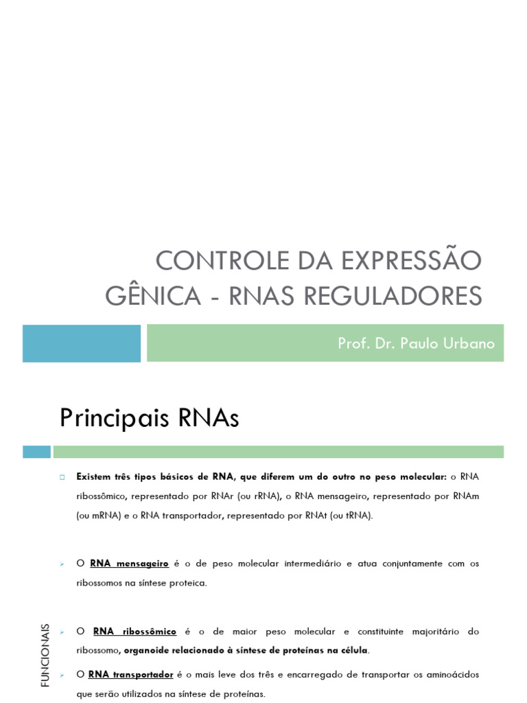 PMG - Aula 4 - Expressao Genica 2 | PDF | Gene | RNA