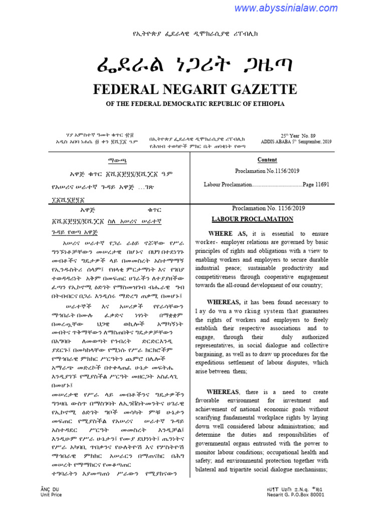 Labour Proclamation No 1156 2019 | PDF