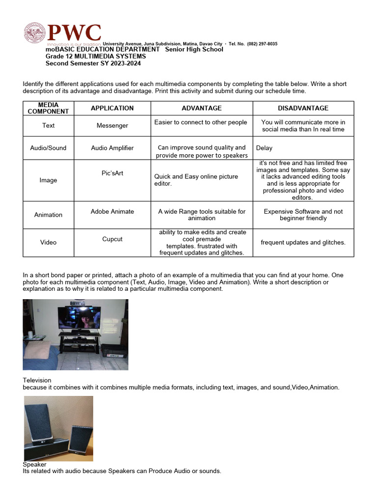 Multimedia Systems Activity Guide | PDF | Multimedia | Video