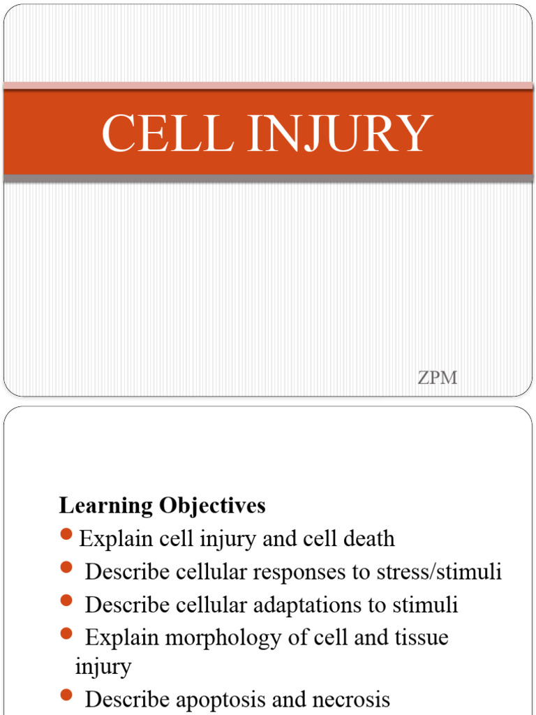 Cell Injury | PDF | Biology | Medical Specialties