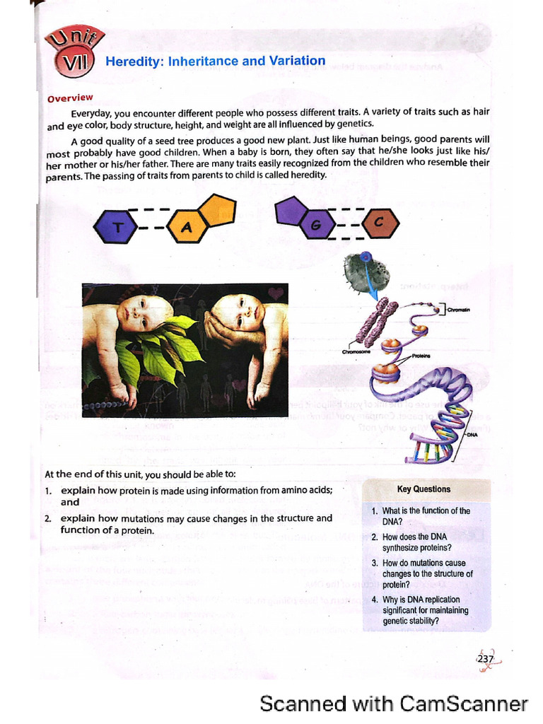 Inheritance and Variation | PDF