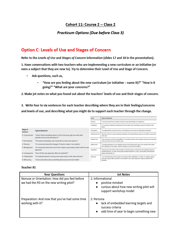 Class 2 Practicum Assignment 1 Pdf Teachers Literacy