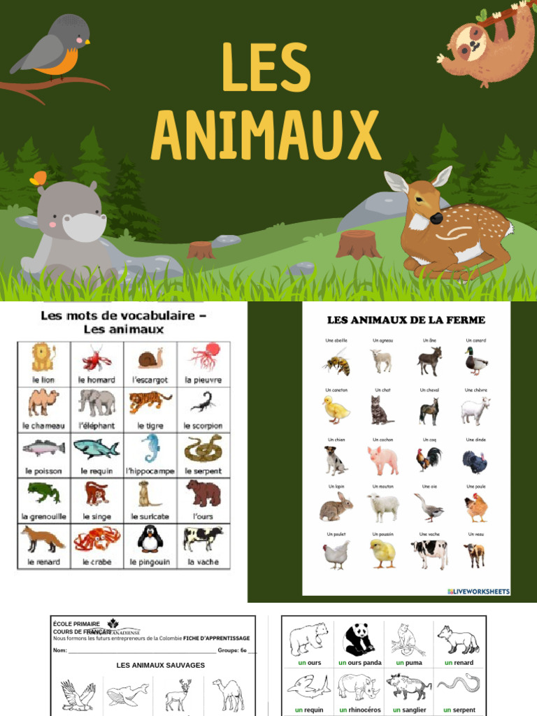 Vocabulaire des animaux en français | PDF