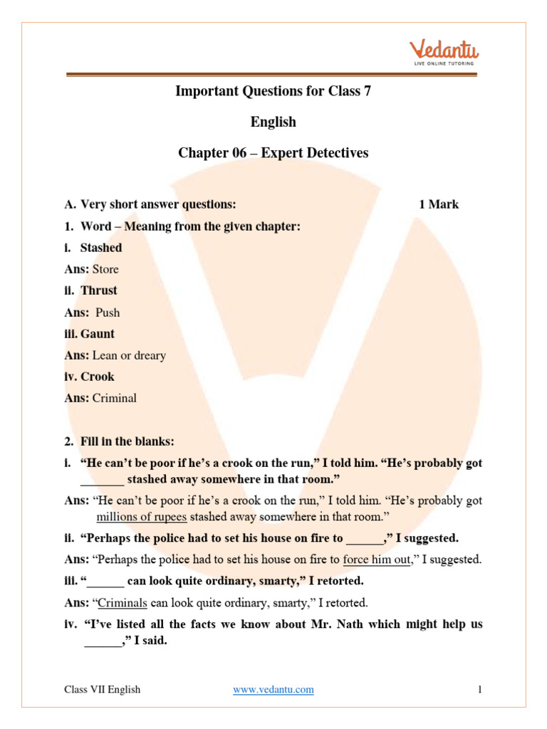 Class 7 English: Expert Detectives | PDF