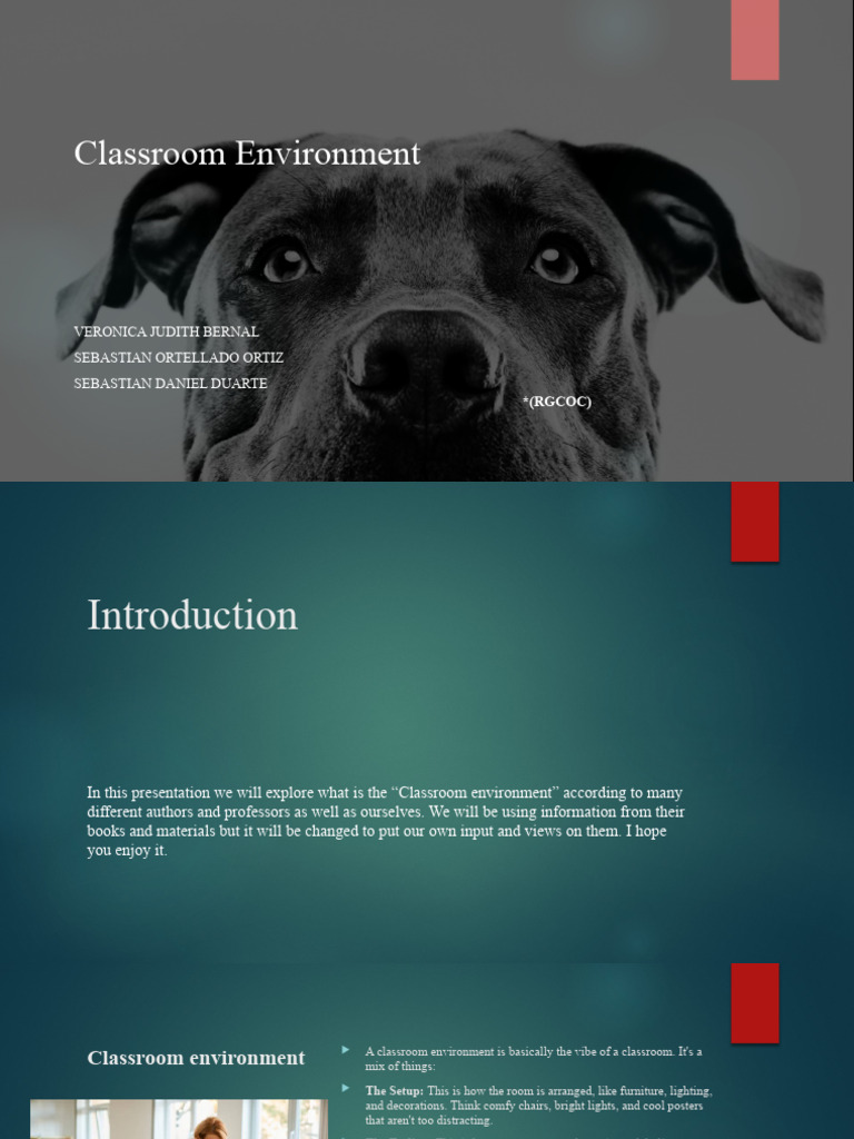 Creating Positive Classroom Vibes | PDF | Classroom | Learning