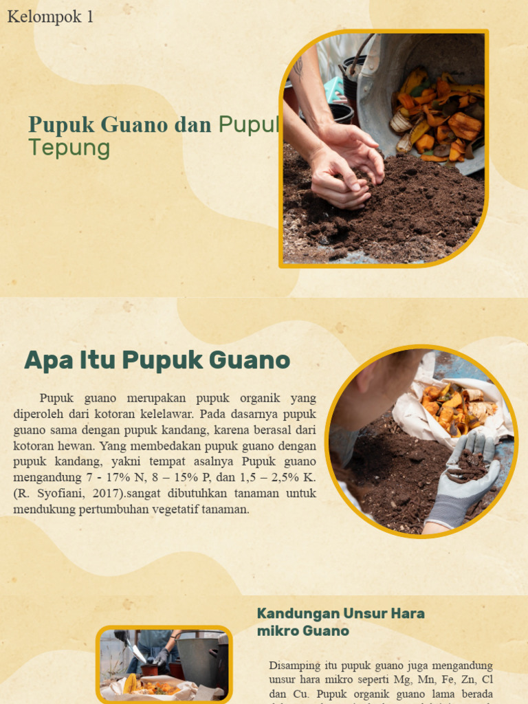 Pupuk Guano | PDF | Teknologi & Rekayasa