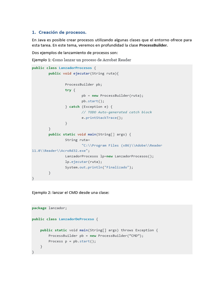 Uso de ProcessBuilder en Java | PDF | Tecnologías de la información | Paradigmas de programación