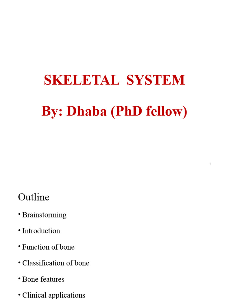 Skeletal S Anatomy | PDF | Skull | Vertebra
