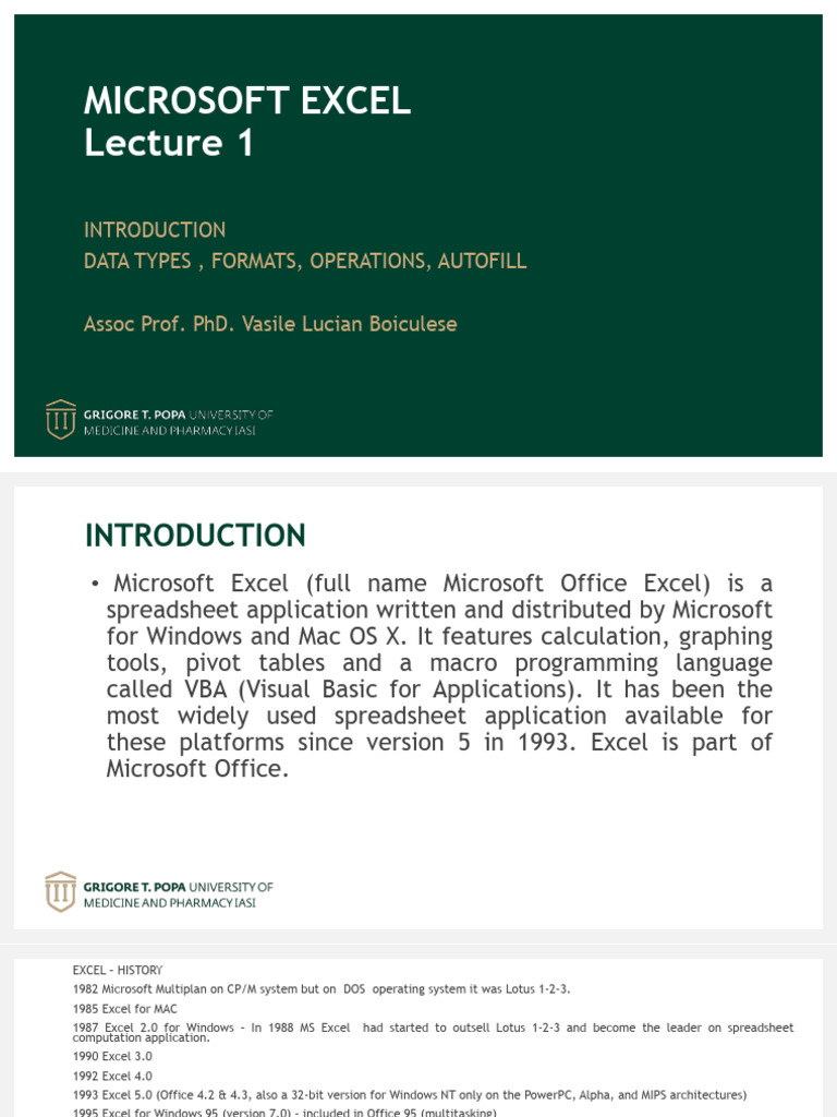 C1 Excel | PDF | Microsoft Excel | Spreadsheet