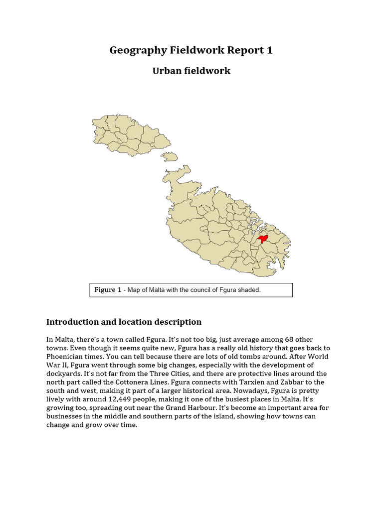 Geography Fieldwork Report 1 | PDF | Traffic | Parking