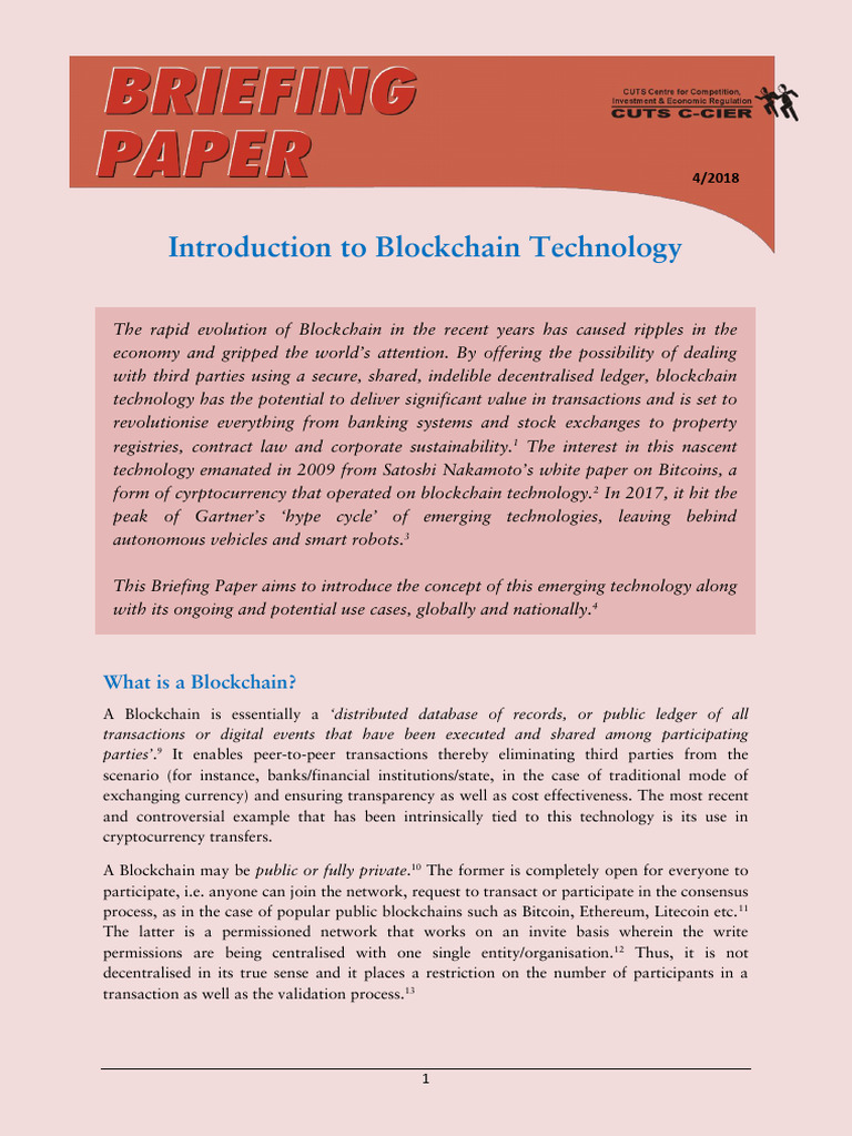 Briefing Paper-Introduction To Blockchain Technology | PDF | Public Key Cryptography | Cryptography