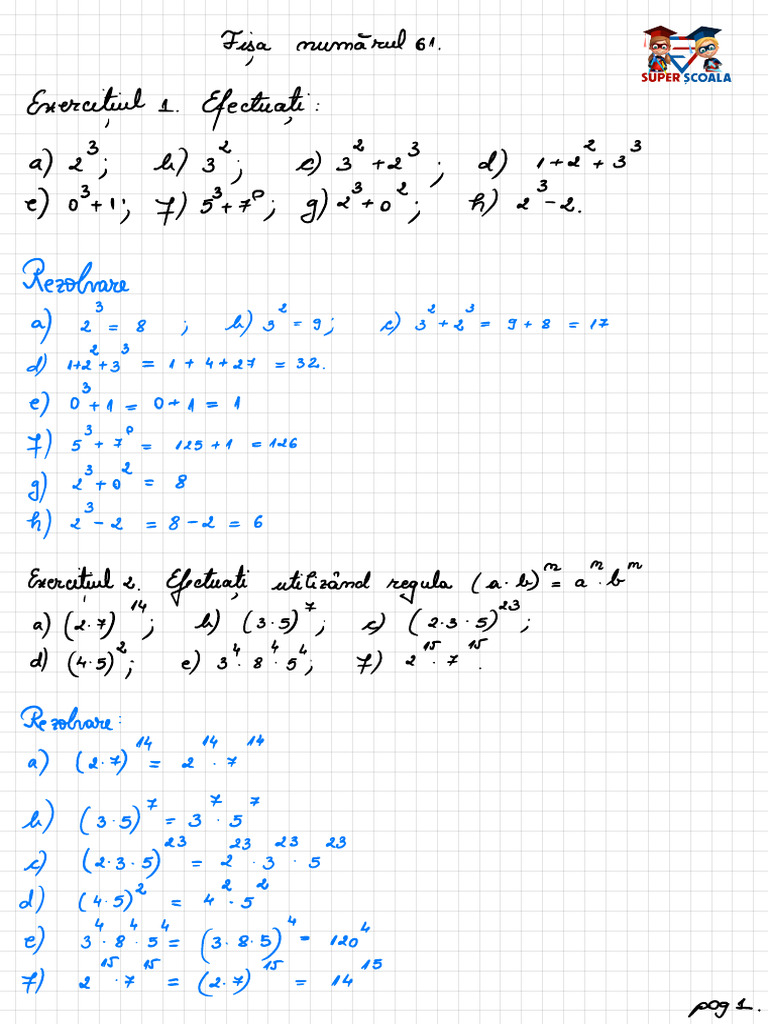 Fisa Mate 61 Rezolvare | PDF