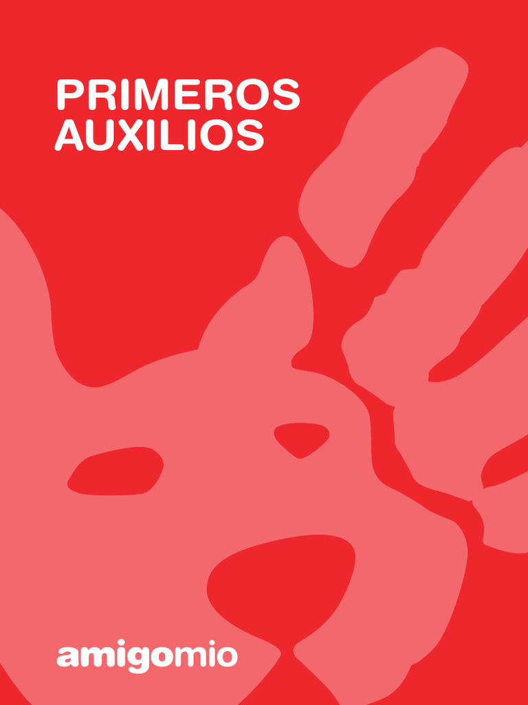 Manual Primeros Auxilios | PDF | Reanimación cardiopulmonar | Quemar