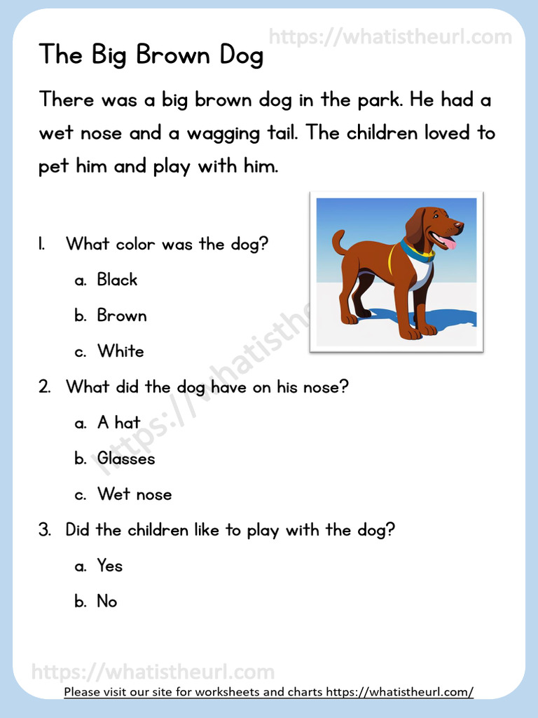 The Big Brown Dog and A Happy Bunny Reading Comprehension For ...