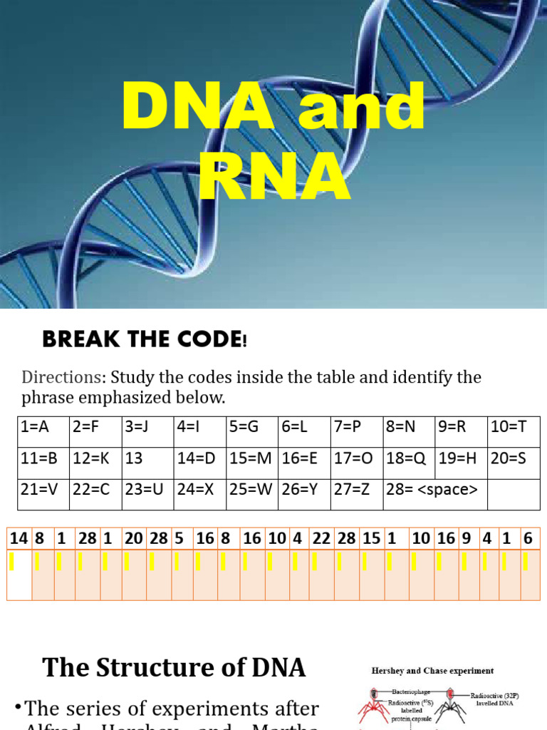 3 DNA and RNA | PDF | Rna | Dna
