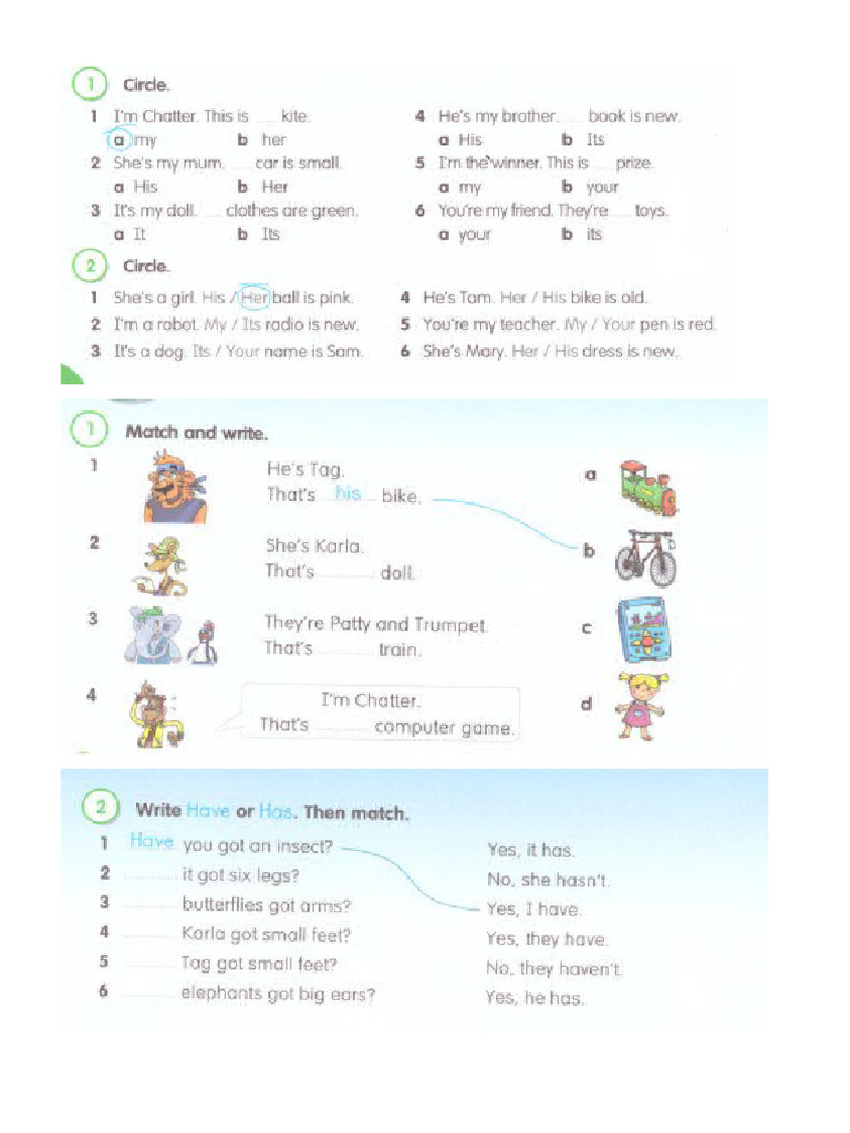 Revision5 6 Unit 3grade | PDF