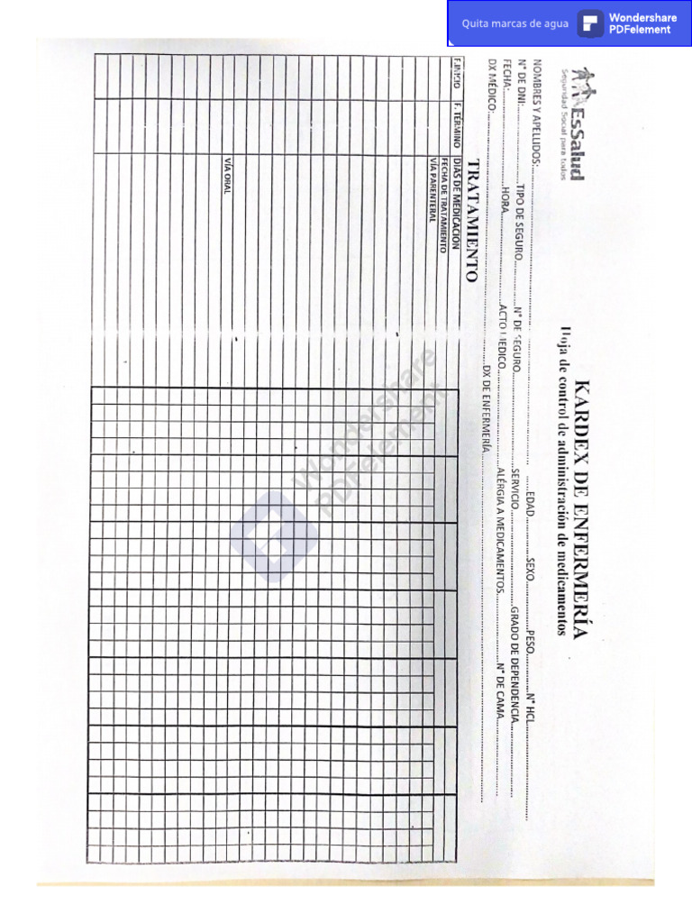 MODELO DE HOJA DE KARDEX DE ESSALUD | PDF