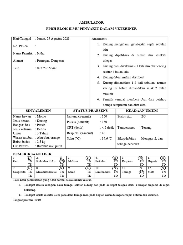 Ambulator Kulit - Dok Sisya - Kucing Momo | PDF