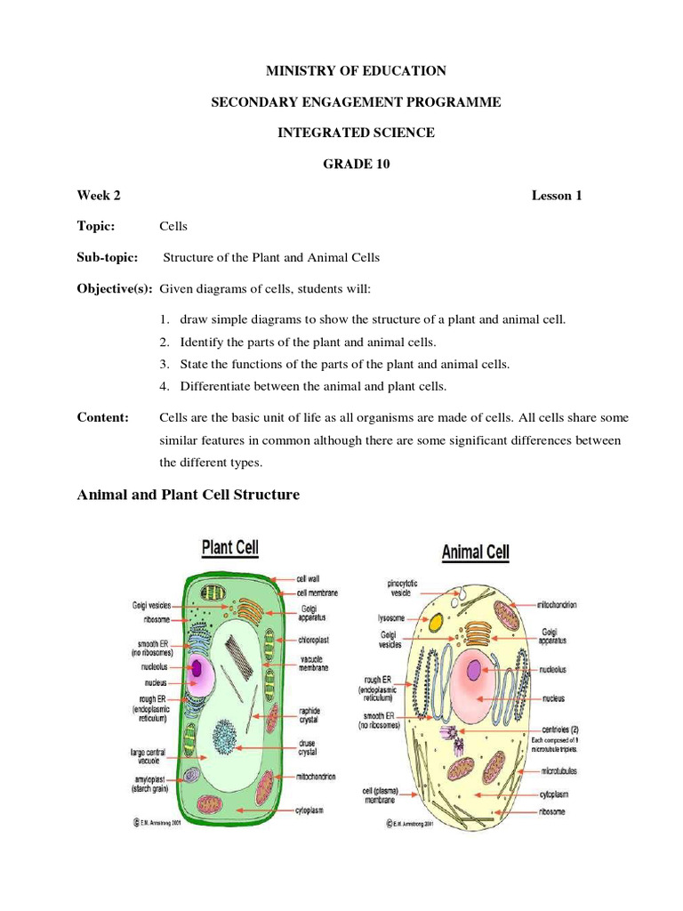 Grade 10 Integrated Science Week 2 Lesson 1 1 Pdf